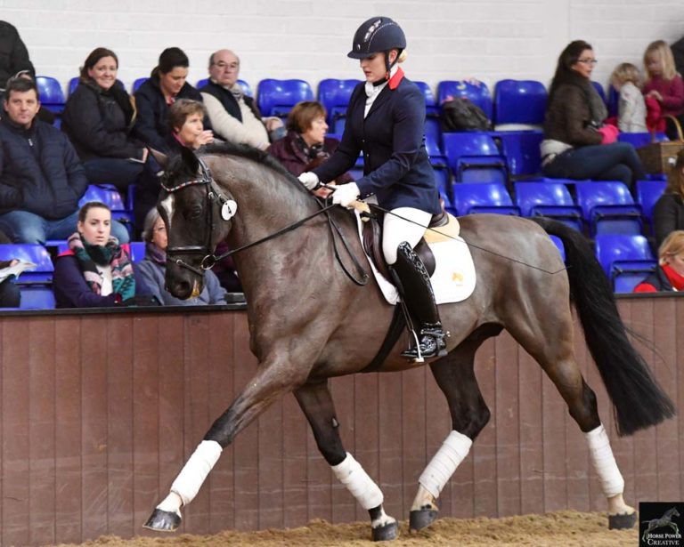 Gallery - Catherston Livery Stables and Stud