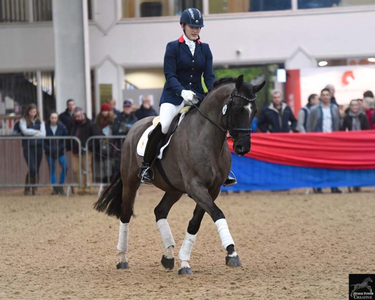 Gallery - Catherston Livery Stables and Stud