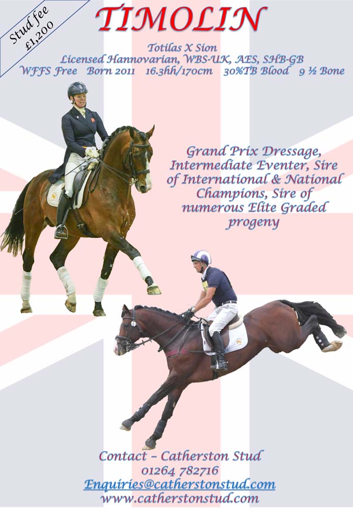 Stallions - Catherston Livery Stables and Stud